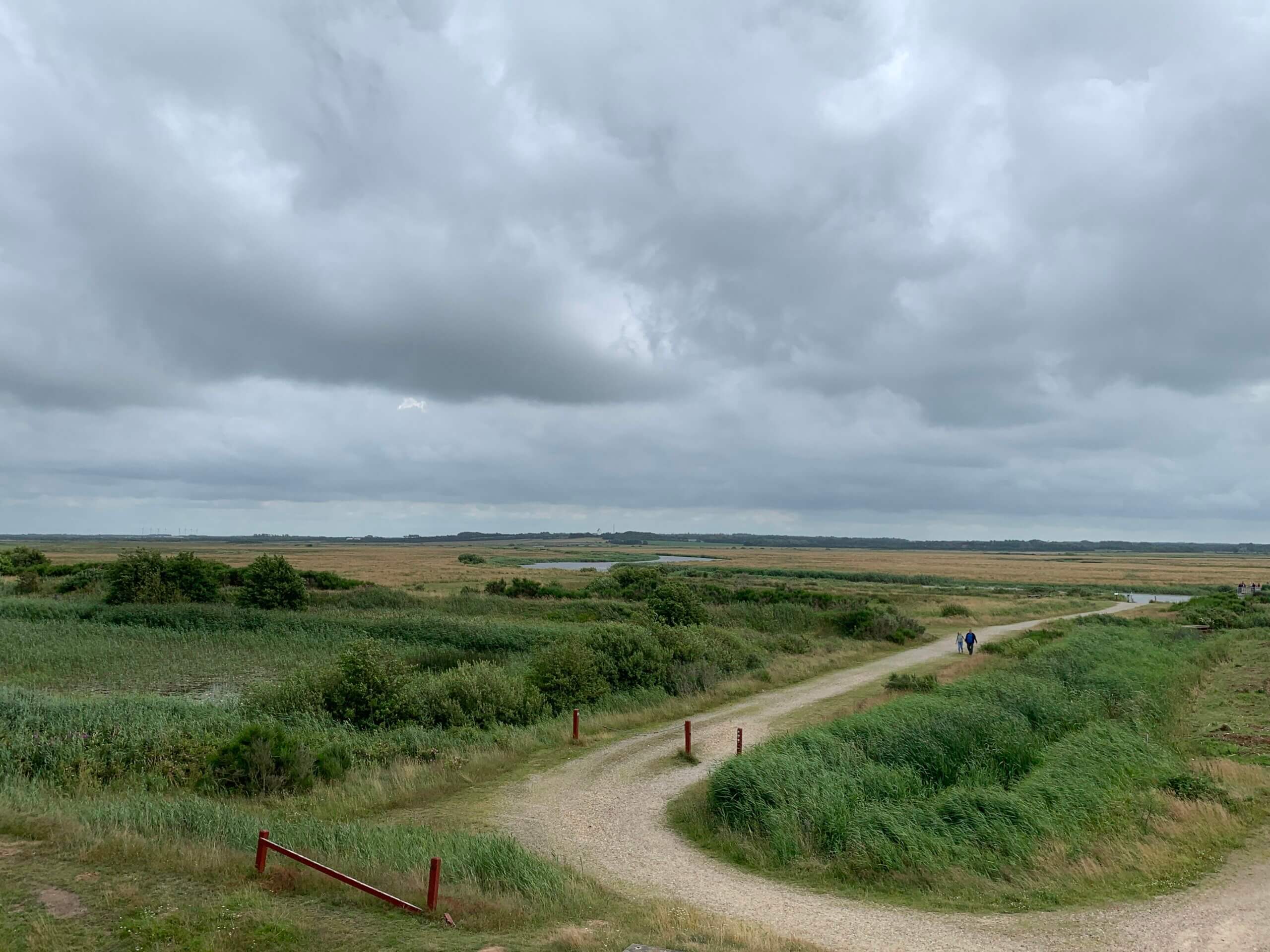 Skjern Enge - Ringkobing Fjord Museer