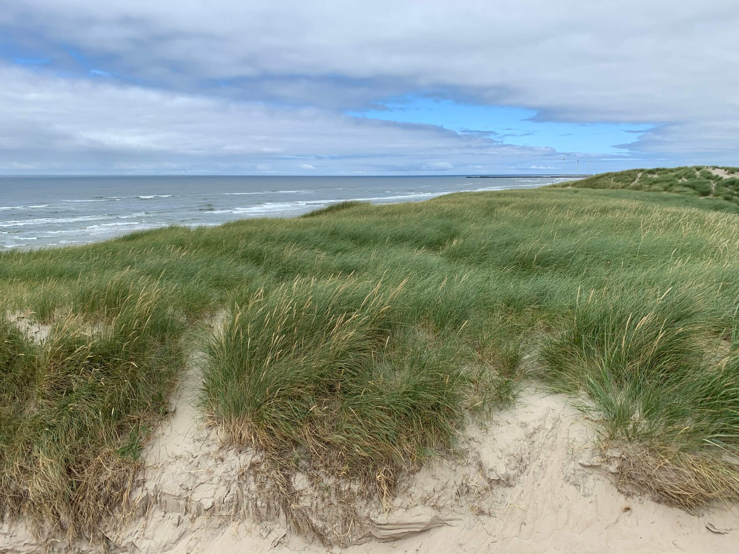 Årgab Strand og Sømærke - Ringkobing Fjord Museer