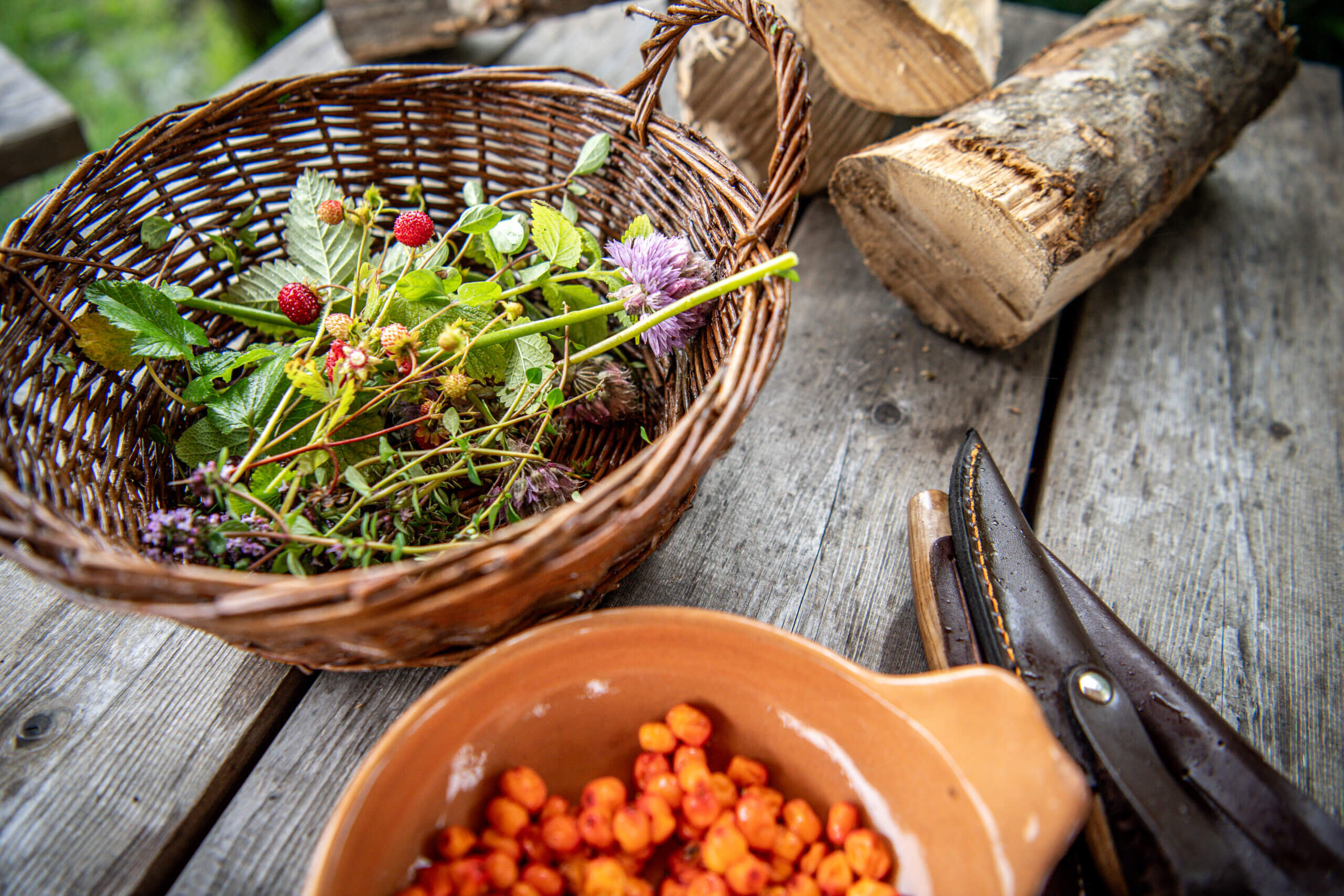 Ekspeditioner - Ringkobing Fjord Museer